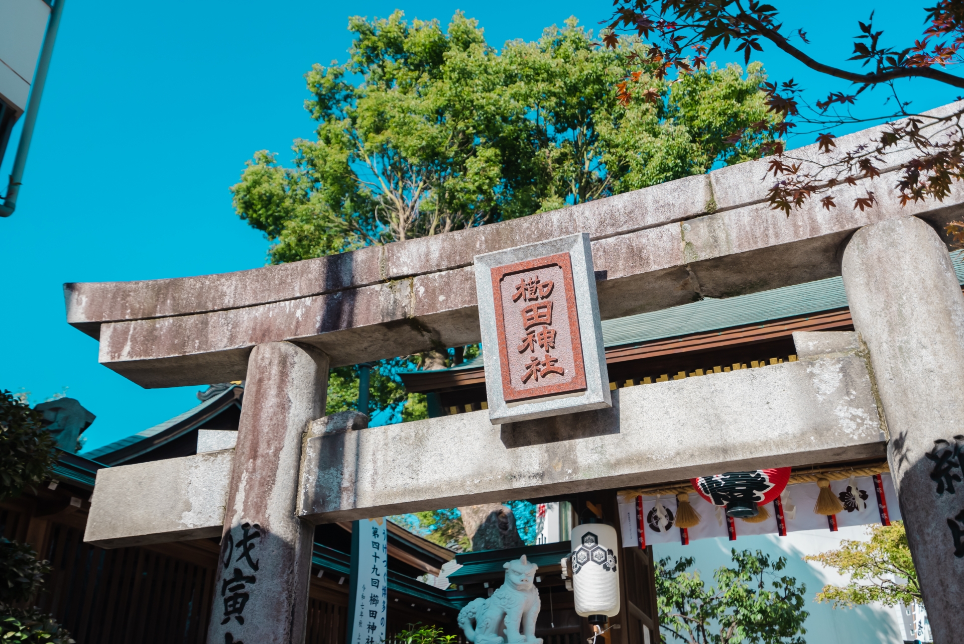 Kushida Shrine Fukuoka | Discovery Fukuoka